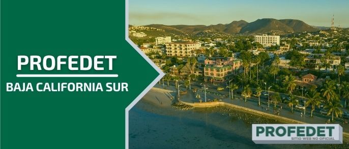 Dirección, teléfonos y horarios de atención de la PROFEDET CDMX - Profedet