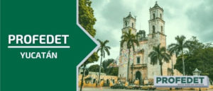 PROFEDET Yucatán: Dirección, teléfonos y horarios de atención